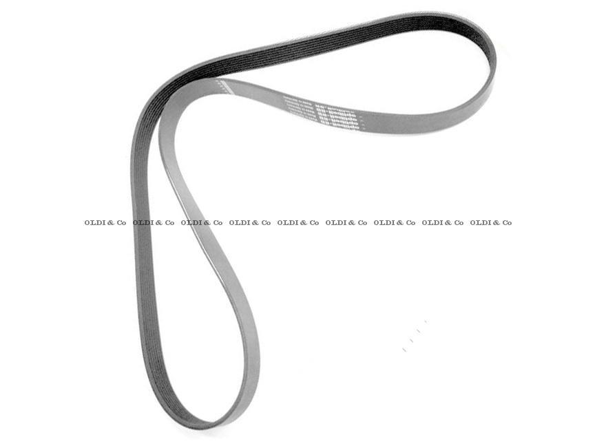 33.053.13397 - Engine parts - Multiribbed belt - Dzinēja detaļas ...